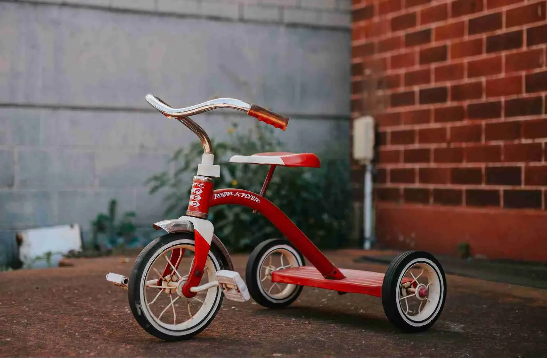 About Us - SAMSN Survivors & Mates Support Network